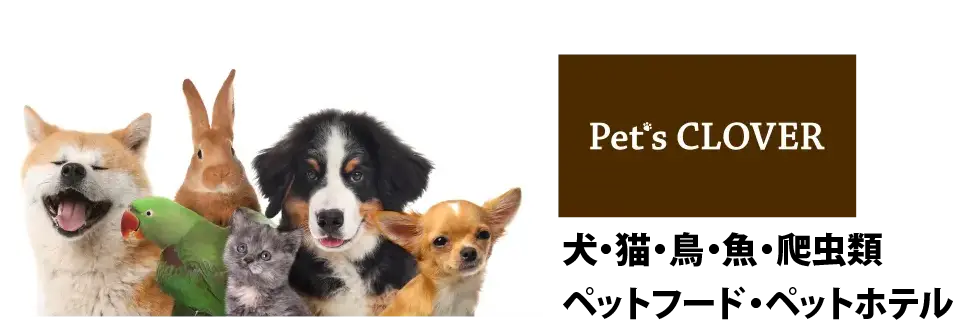 【JOYHON】小山駅前店